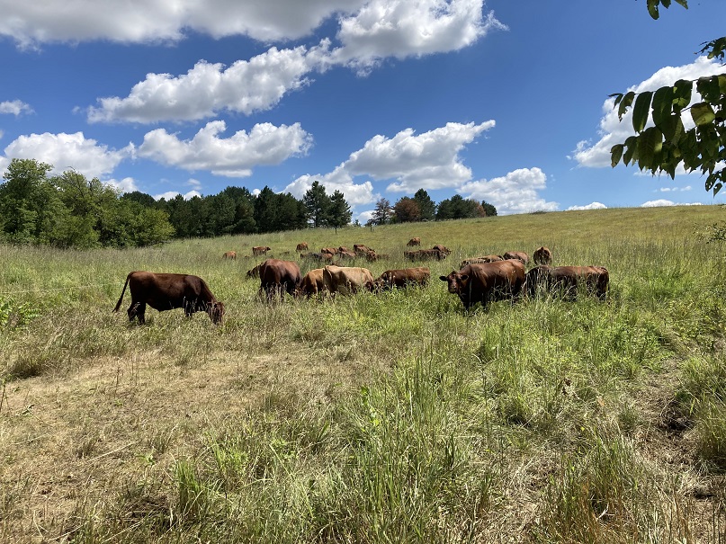 Bionutrient Soil Results - DS Family Farm